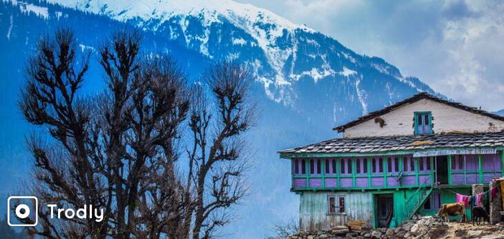 Fairy Forest-Pulga Village Hike - Trodly