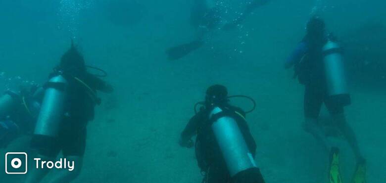 Scuba Diving with Lacadives - Trodly