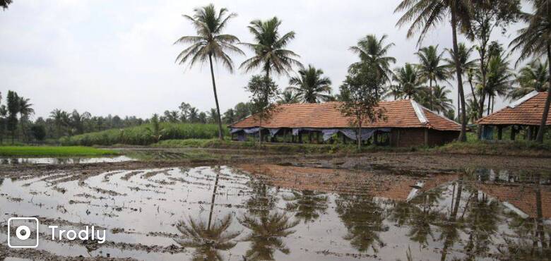 Coorg Eco Farm Tour With Chocolate Tasting & Dinner - Trodly