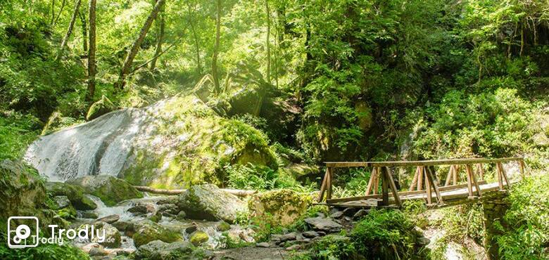 Rolla Trek in Great Himalayan National Park - Trodly