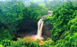 Jawhar Sightseeing Day Tour from Mumbai - Trodly