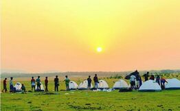Pocharam Night Camping at Wildlife Sanctuary - Trodly