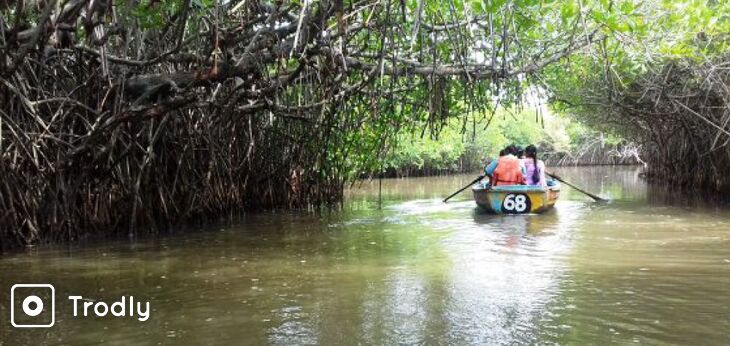 Meet-up Information/Reporting Point