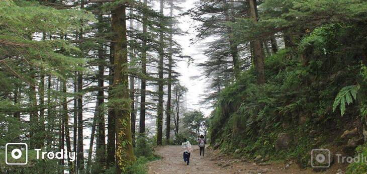 Triund Snow Line and Laka Glacier Trek - Trodly